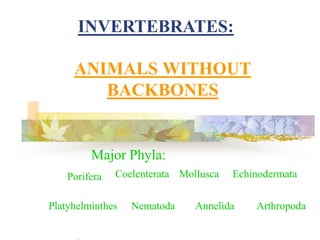Invertebrates2006 | PPT