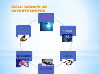 Invertebrates and vertebrates | PPTX