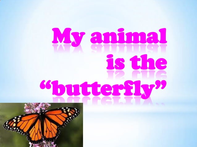 Invertebrates and vertebrates | PPTX | Dogs | Pets