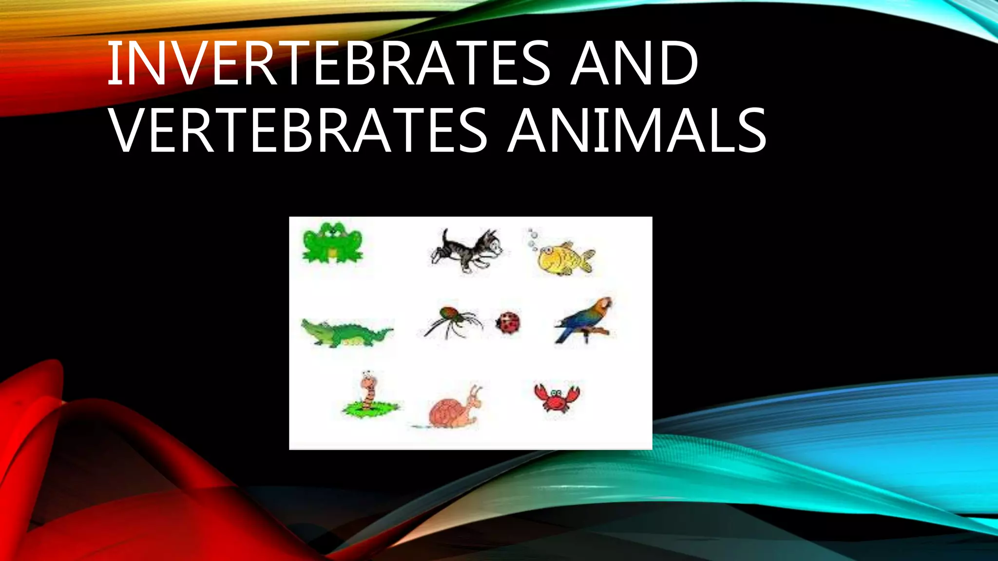 Invertebrates and vertebrates animals | PPT