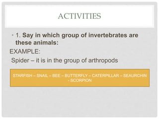 Invertebrates animals | PPTX | Reptiles | Pets