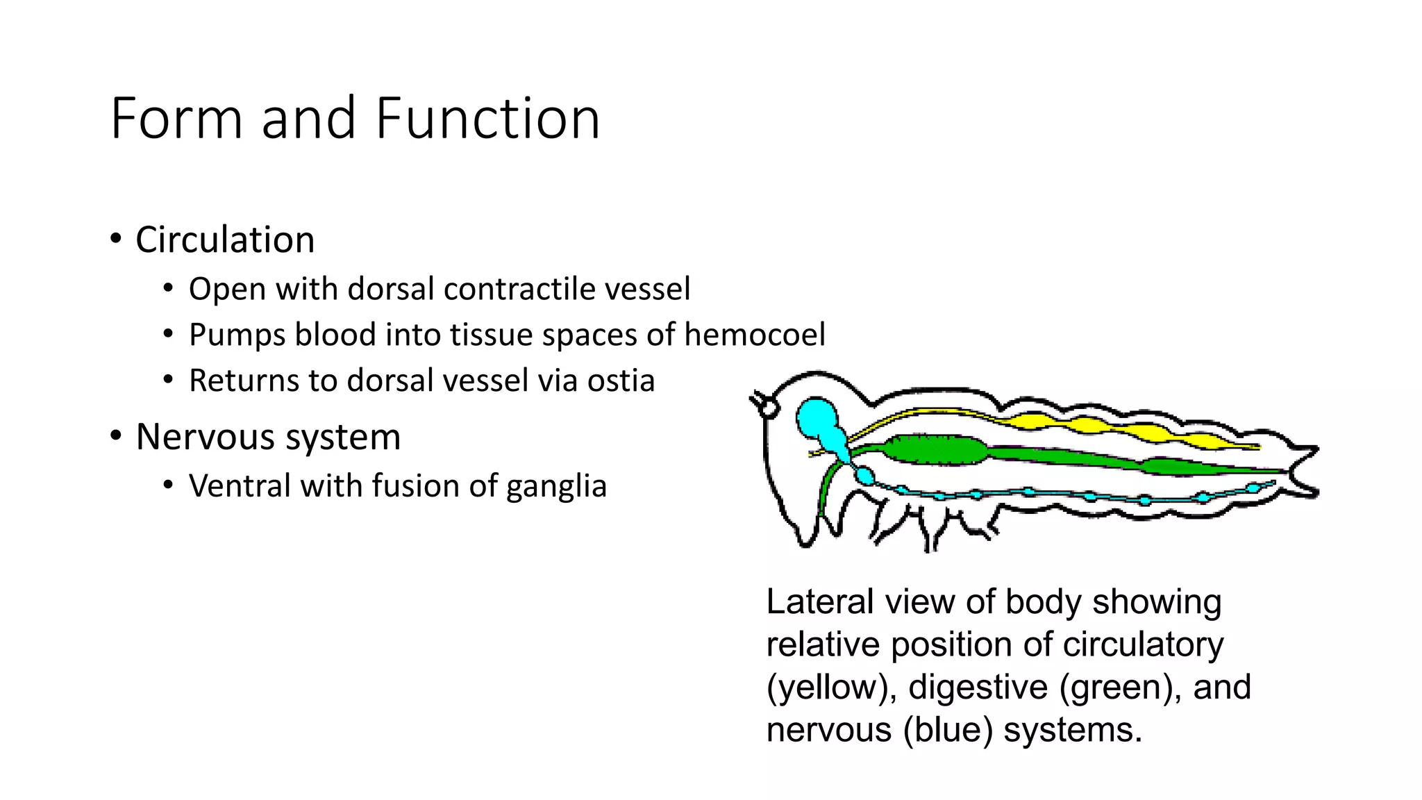 INVERTEBRATES Arthropod.pdf