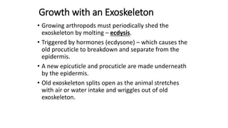 INVERTEBRATES Arthropod.pdf