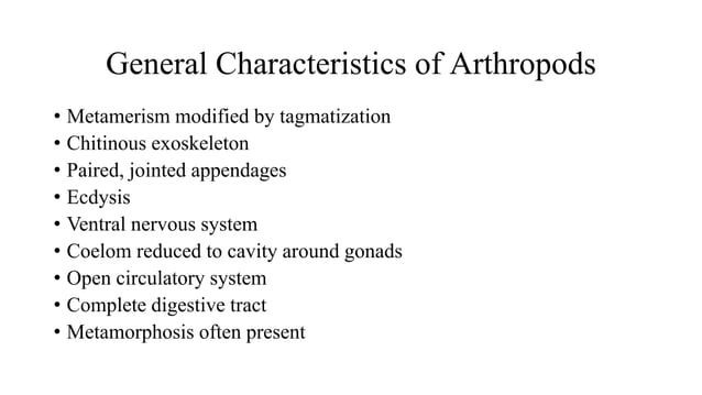 INVERTEBRATES Arthropod.pdf