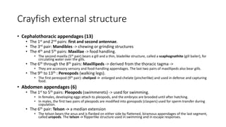 INVERTEBRATES Arthropod.pdf