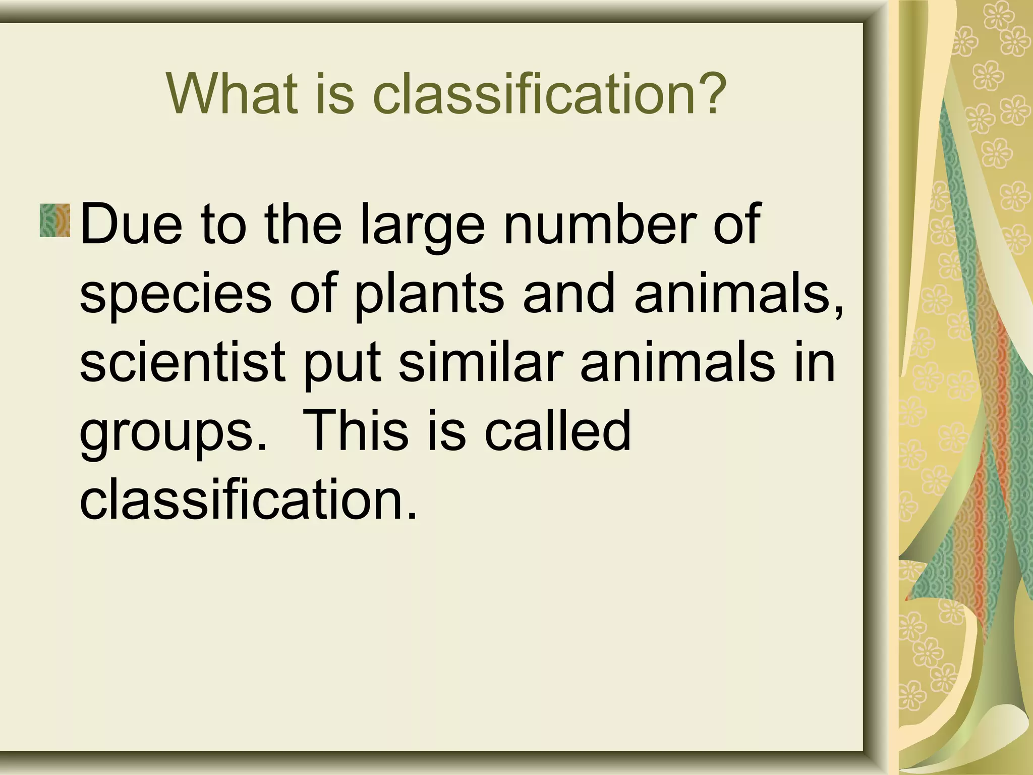 Invertebrates class ppt | PPT