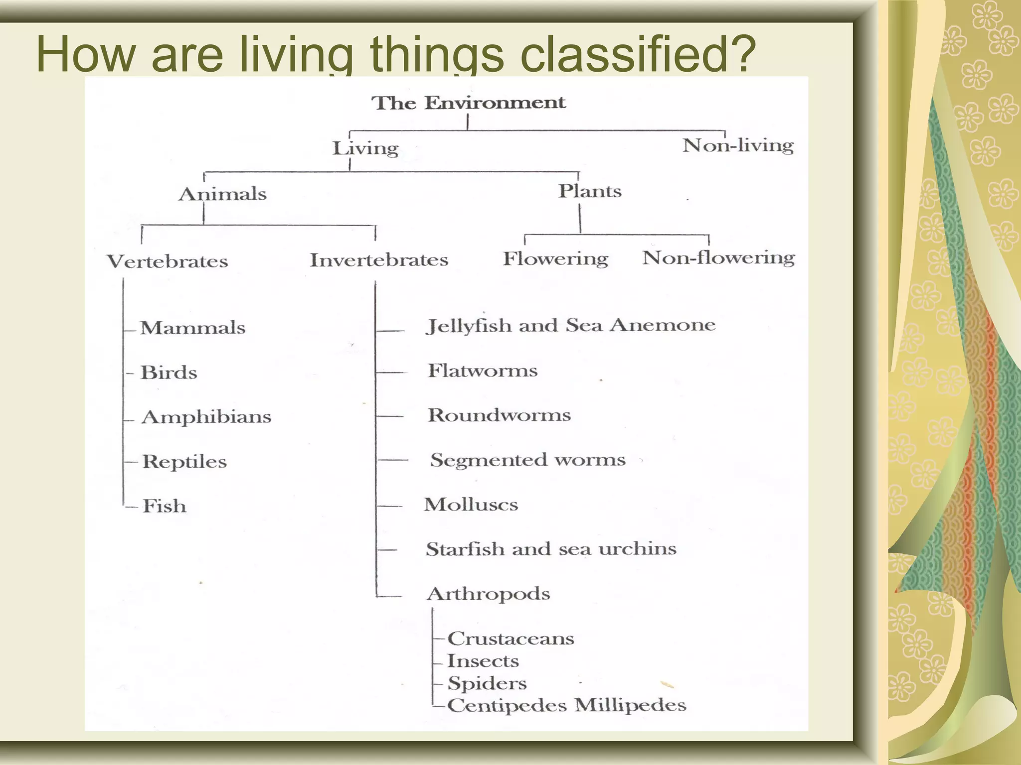 Invertebrates class ppt | PPT