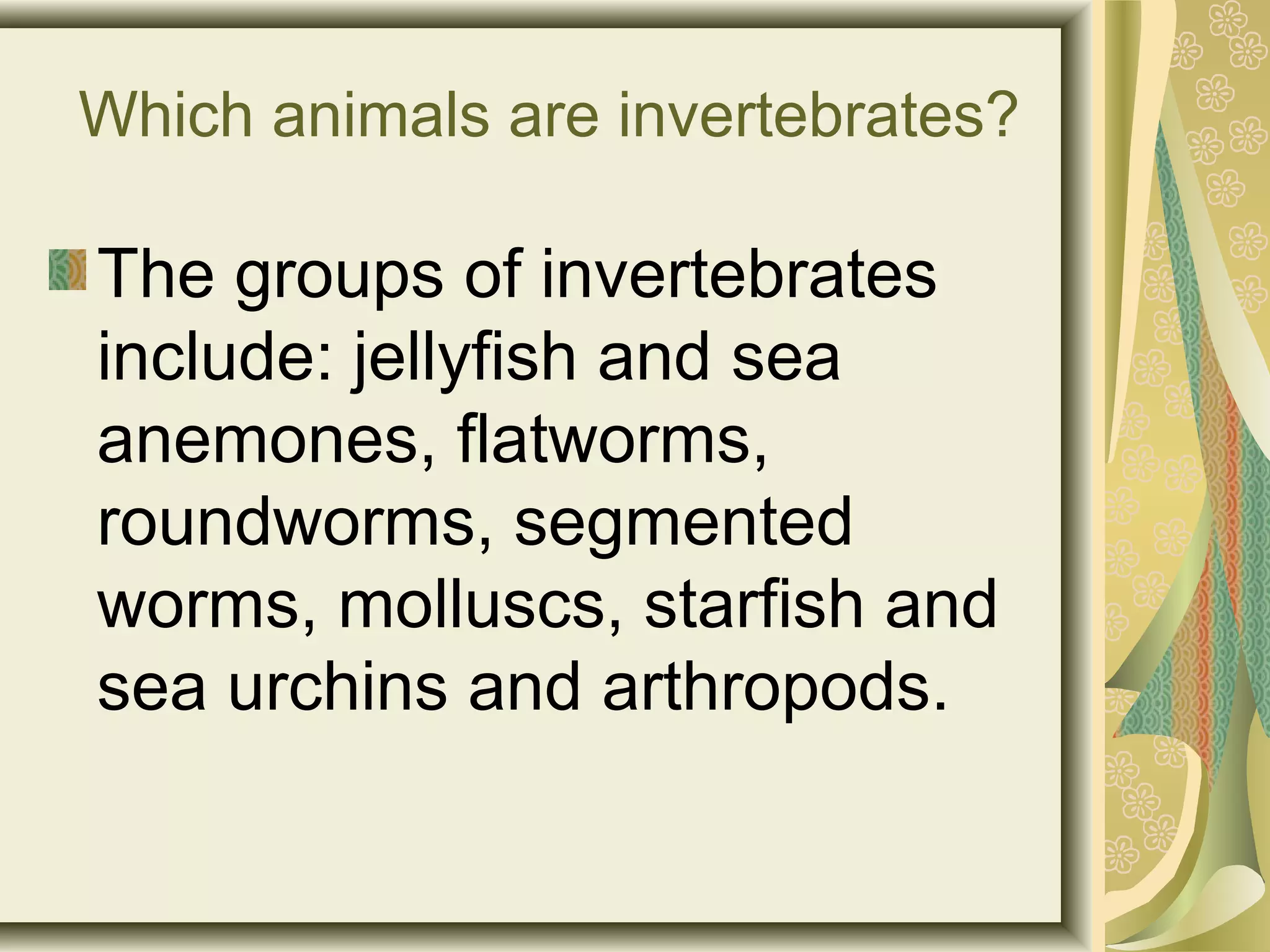 Invertebrates class ppt | PPT