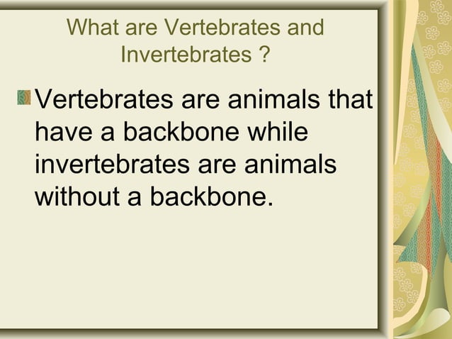 Invertebrates class ppt | PPT