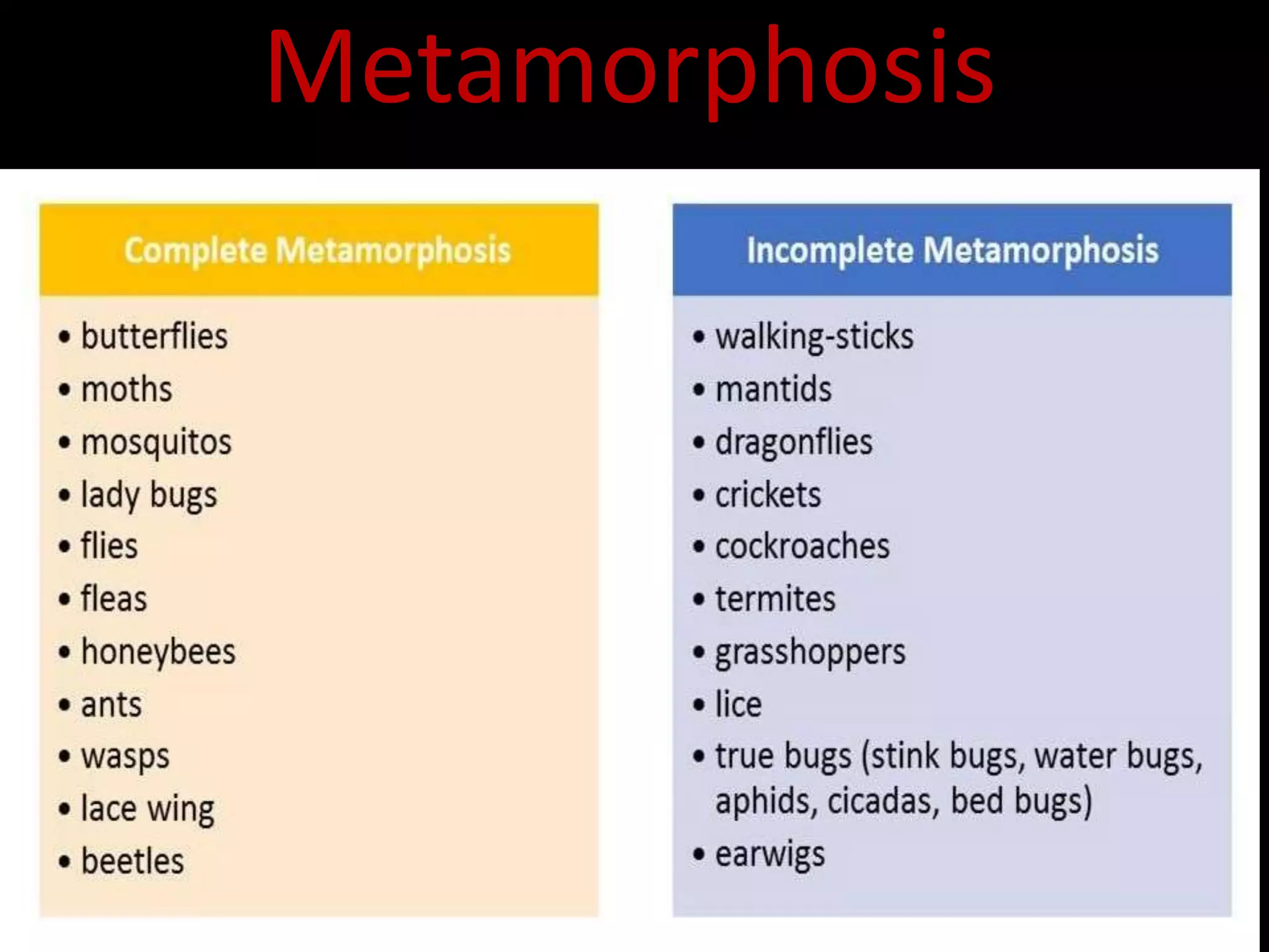 Invertebrates endocrinology, metamorphosis and molting | PPTX