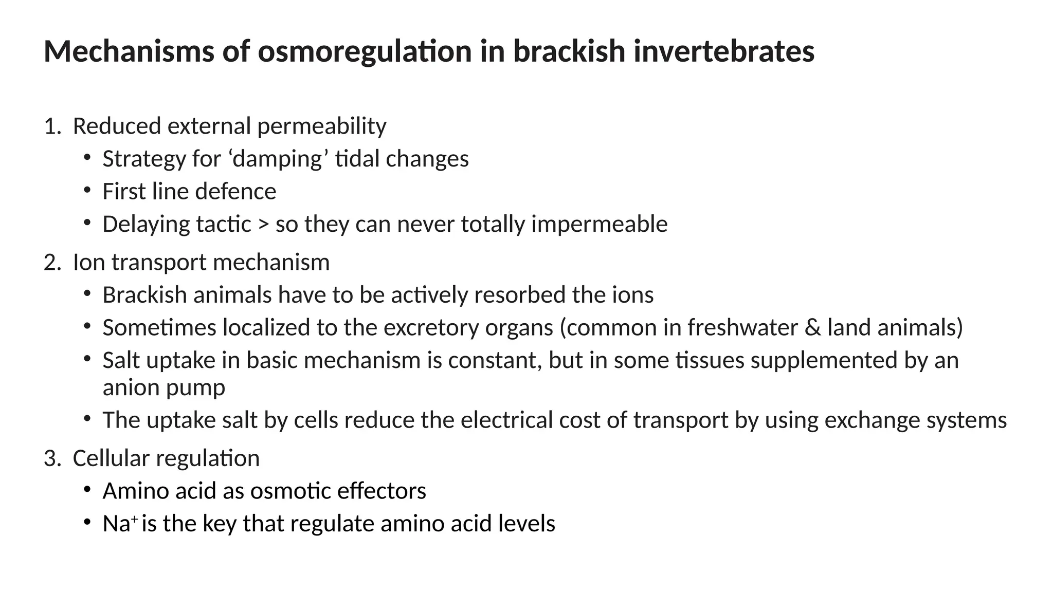 Invertebrates Excretory System and Their Osmoregulation.pptx