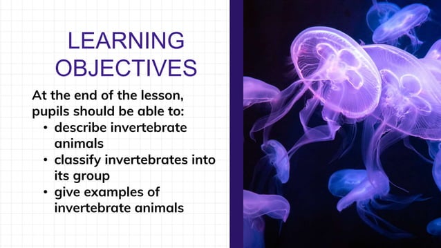 Science Lesson about Invertebrates Lesson | PPT | Free Download