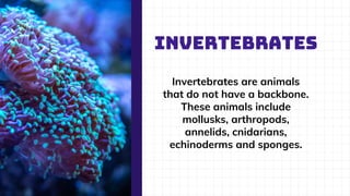 Science Lesson about Invertebrates Lesson | PPTX