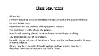 INVERTEBRATES Phylum Cnidaria.pdf