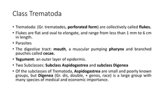 INVERTEBRATES PHYLUMPLATYHELMINTHES.pdf