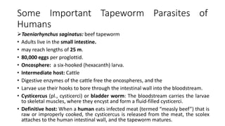 INVERTEBRATES PHYLUMPLATYHELMINTHES 2.pdf