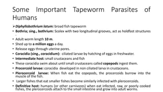 INVERTEBRATES PHYLUMPLATYHELMINTHES 2.pdf