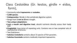 INVERTEBRATES PHYLUMPLATYHELMINTHES 2.pdf