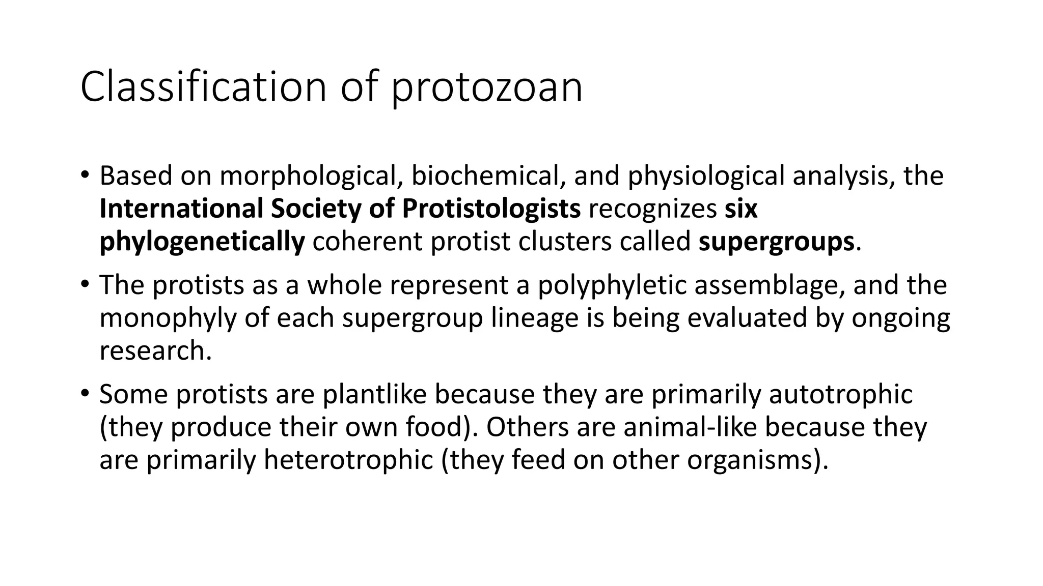 INVERTEBRATES Phylum Porifera.pdf