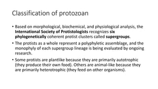INVERTEBRATES Phylum Porifera.pdf