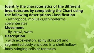 INVERTEBRATES PPT.pptxgdgdhhdhdhdjjnfndg | PPTX
