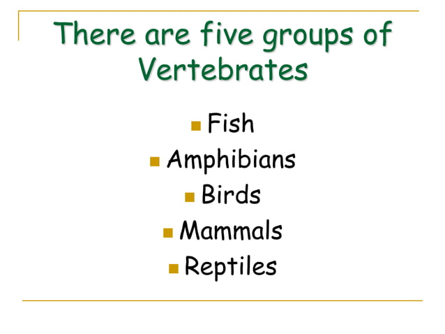 Invertebrates presentation | PPT