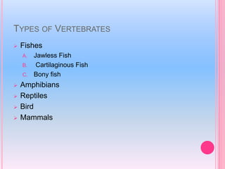 Invertebrates presentation | PPT