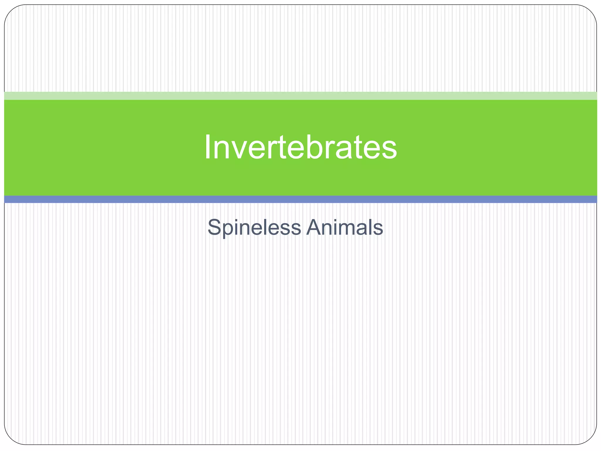 Invertebrates slide show | PPTX