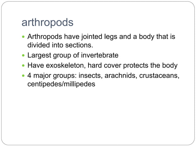 Invertebrates slide show | PPT