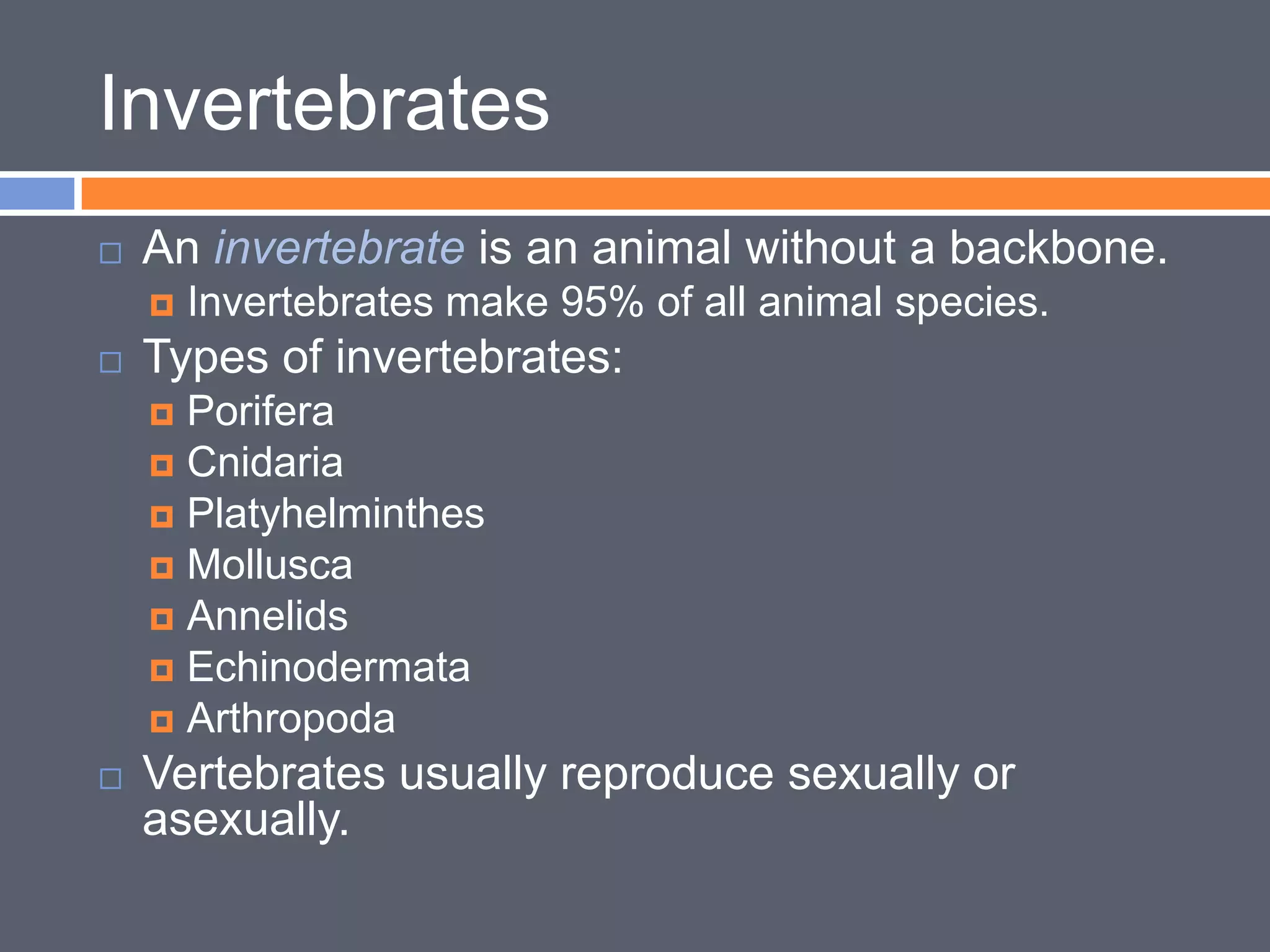 Invertebrates slideshow wiki | PPTX