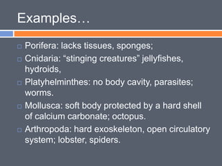 Invertebrates slideshow wiki | PPT