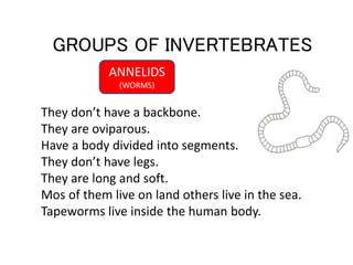 Invertebrates u5 | PPSX