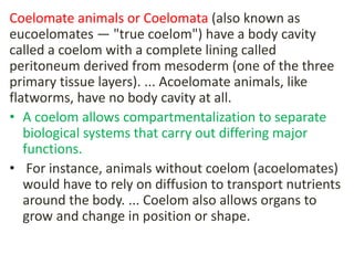 Invertebrate taxonomy | PPTX