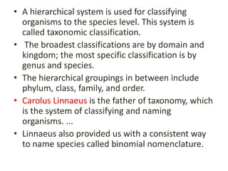 Invertebrate taxonomy | PPTX