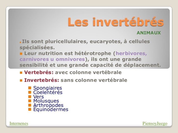 Invertebres