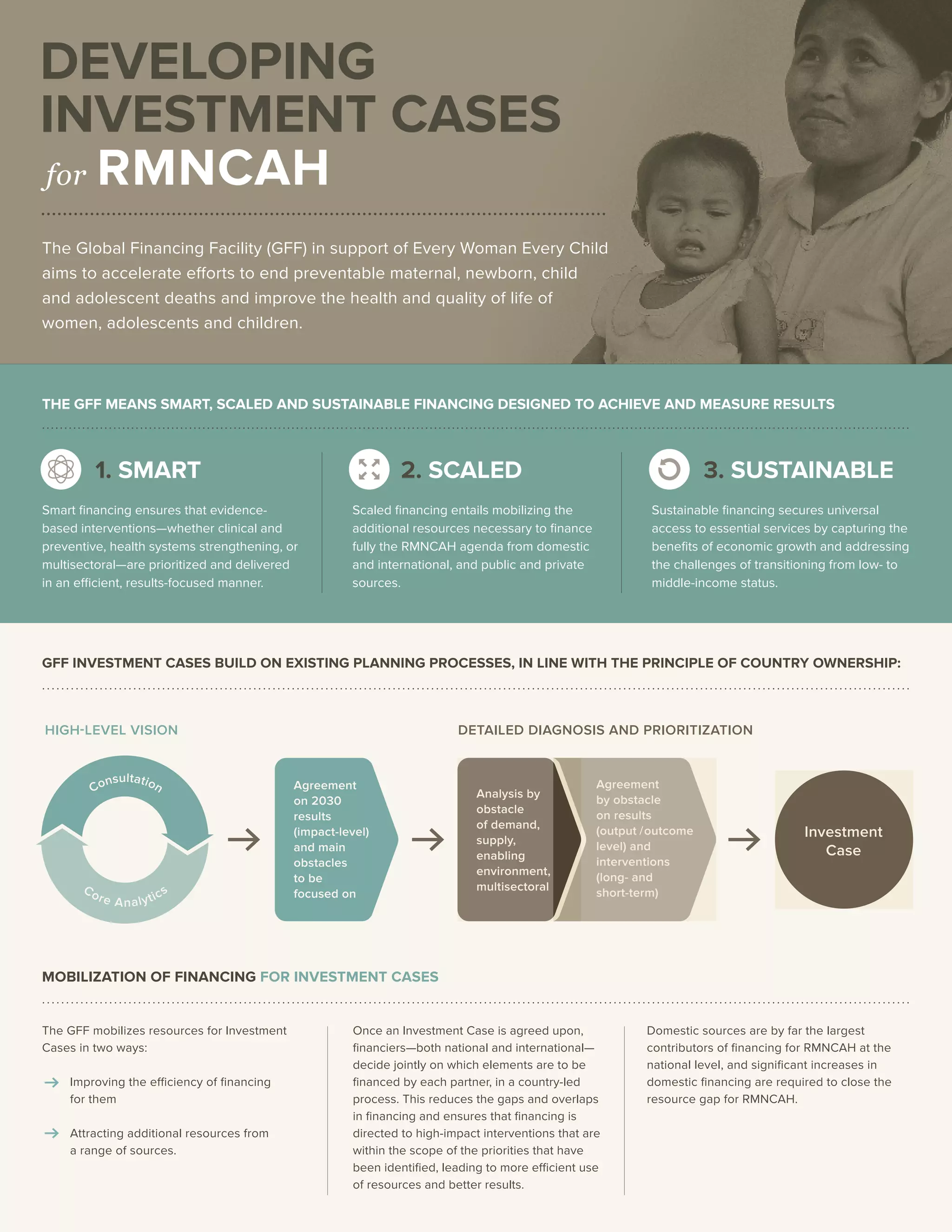 Developing Investment Cases for RMNCAH | PDF