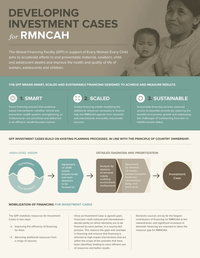 Developing Investment Cases for RMNCAH | PDF