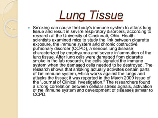 Investegatory project biology | PPTX