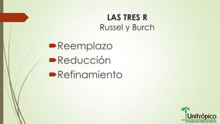 Investigación en animales | PPTX