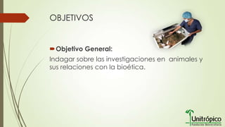 Investigación en animales | PPTX