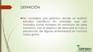 Investigación en animales | PPTX