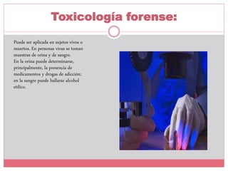 Investigacion Criminal Pptx