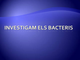 Investigam els bacteris | PPT