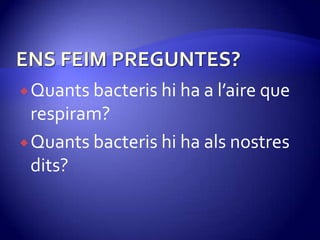 Investigam els bacteris | PPT