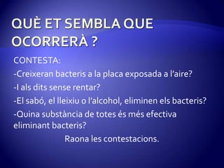 Investigam els bacteris | PPT
