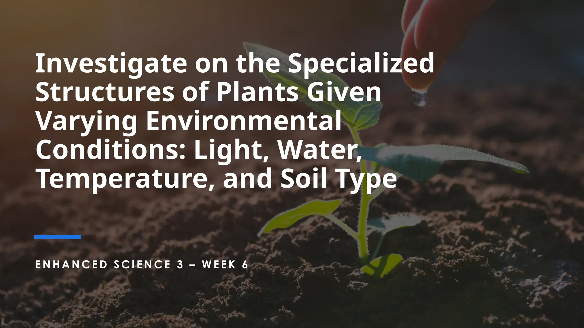 Investigate on the Specialized Structures of Plants.pptx