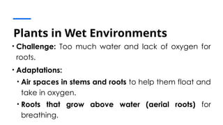 Investigate on the Specialized Structures of Plants.pptx