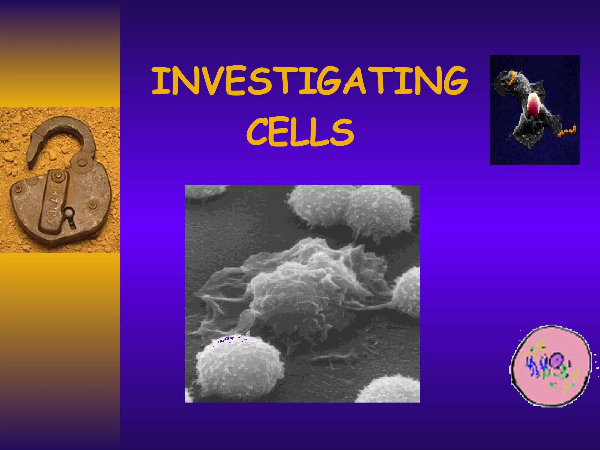 Investigating Cells | PPT