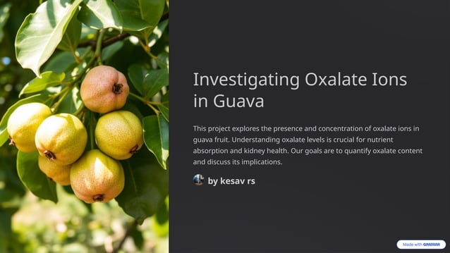 Investigating-Oxalate-Ions-in-Guava.pptx