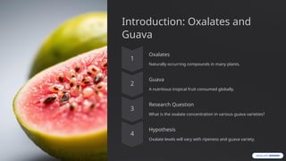 Investigating-Oxalate-Ions-in-Guava.pptx